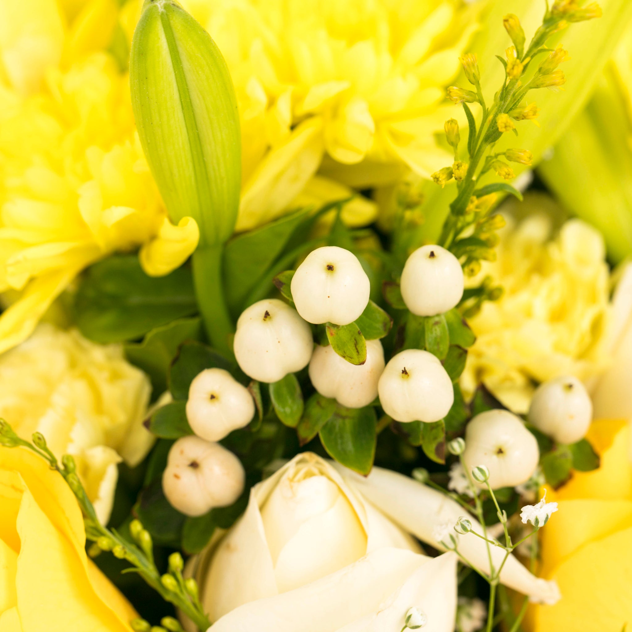 Monsoon Collection 2022