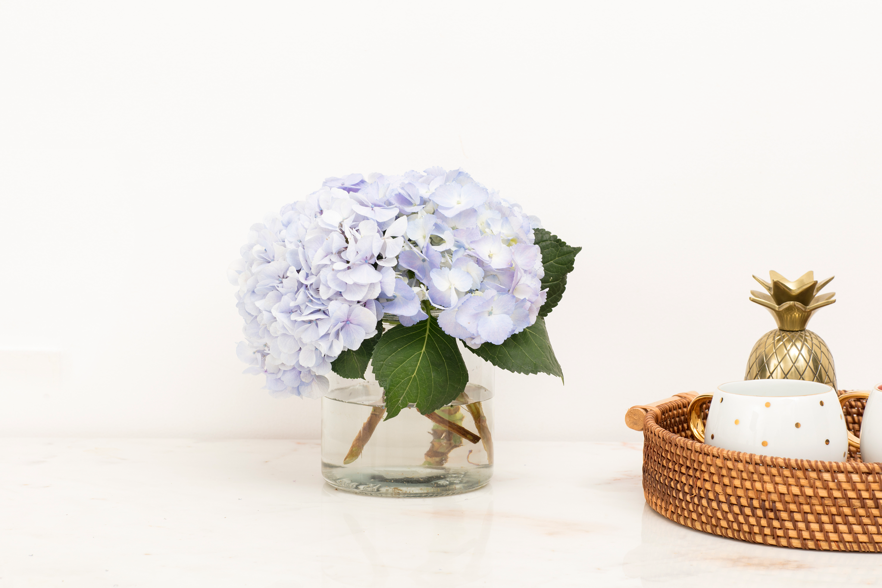 Cut Flowers Online l Fresh Flowers Same-Day Delivery