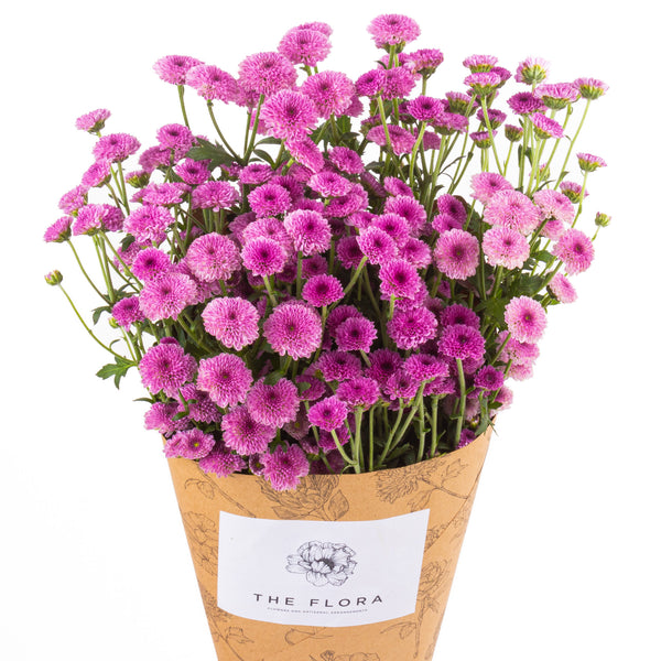 Button Chrysanthemums – The Flora