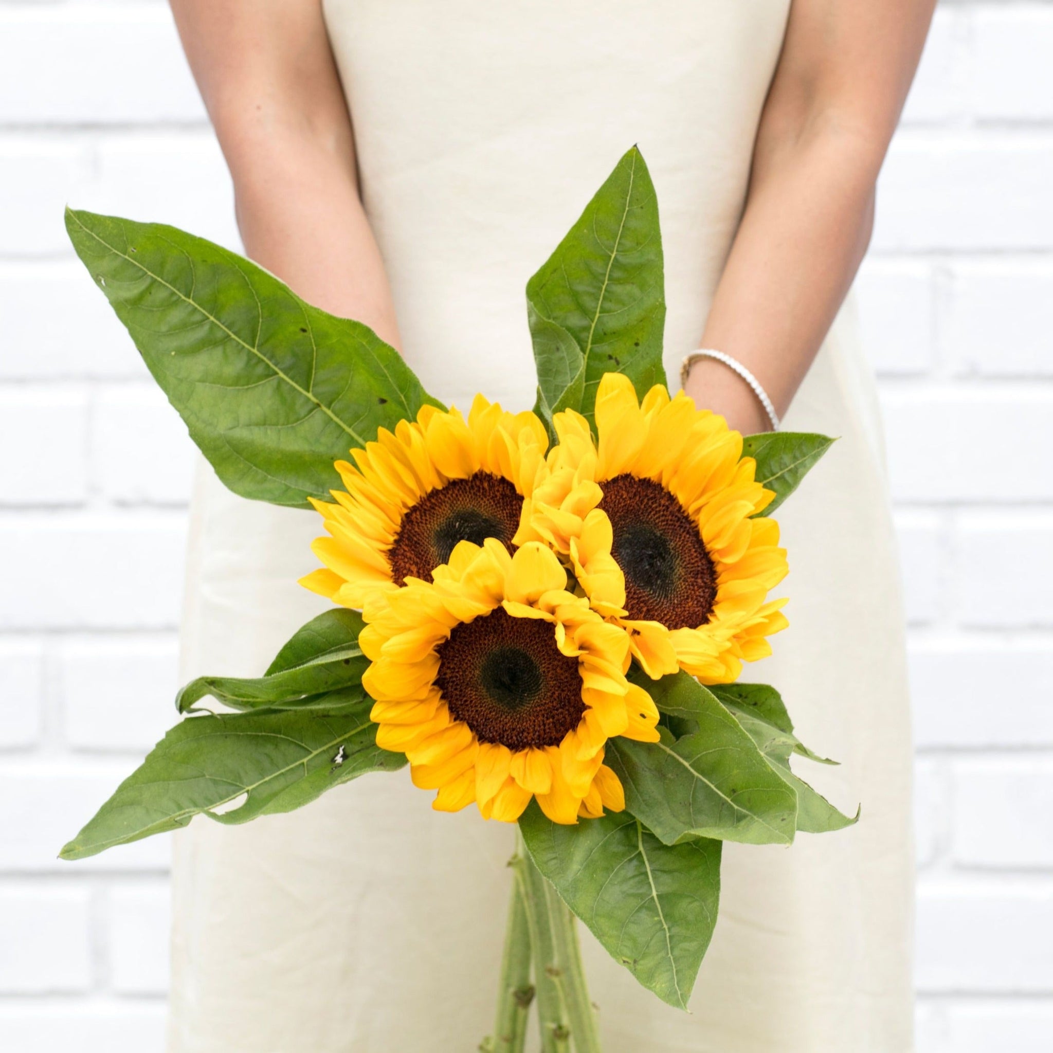 Sunflowers - Order Flowers Online in Mumbai - The Flora