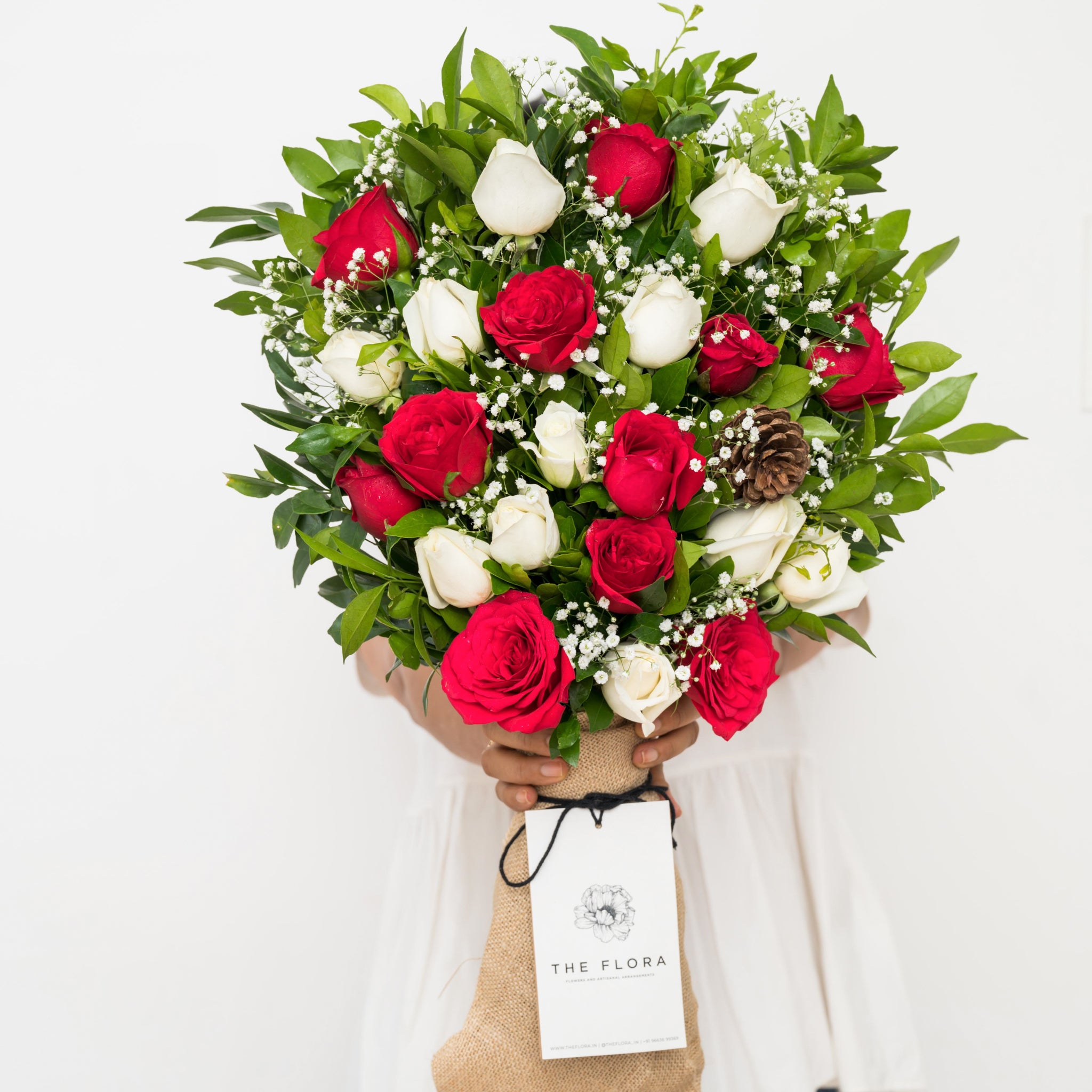 Merry Spring Rose //Delhi